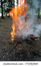 Fire Intensive Oxidation Process Stock Photo 773782969 | Shutterstock