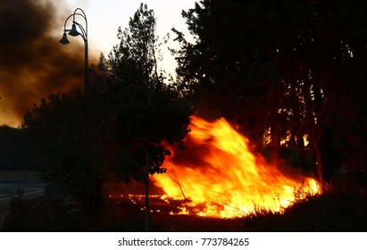 Fire Intensive Oxidation Process Stock Photo 773784265 | Shutterstock