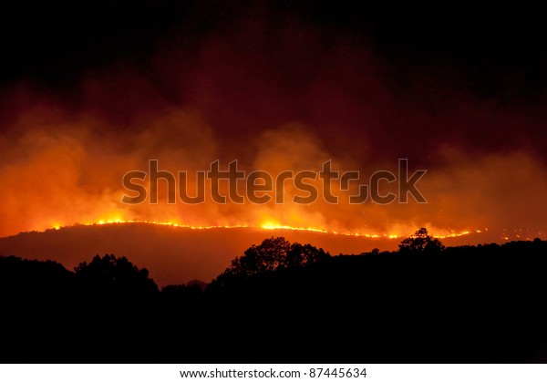 Fire Line Stock Photo 87445634 | Shutterstock