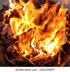 413 Rapid oxidation Images, Stock Photos & Vectors | Shutterstock