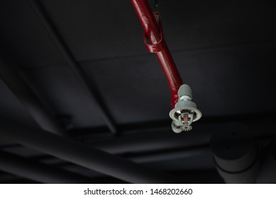 Fire Sprinkler Spring Installed Ceiling Building Stock Photo (Edit Now ...