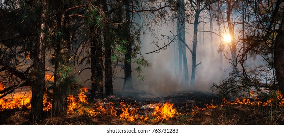 Bushfire Outback Kakadu National Park Northern Stock Photo 1112588612 ...