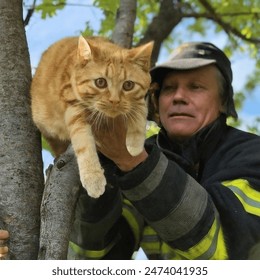 Fireman Getting Orange Cat Down Tree AI-generated image 2473535747 ...