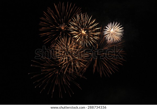 Firework Palm Form Stock Photo 288734336 | Shutterstock