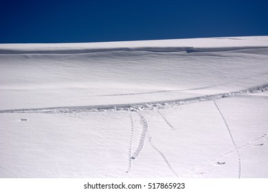 First Steps On Snow Stock Photo 517865923 | Shutterstock
