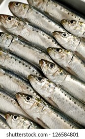 Fresh Mackerel Fish Market Sea Fish Stock Photo (Edit Now) 1090342151