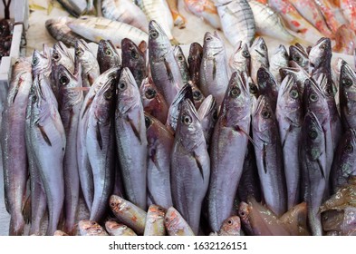 23 Merluzzo fish Images, Stock Photos & Vectors | Shutterstock