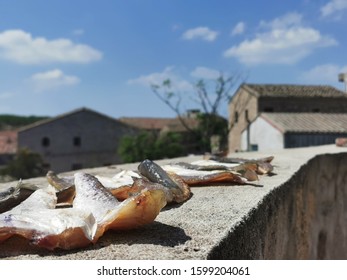 Fish Drying Dehydration Process Exposing Fish Stock Photo (Edit Now ...