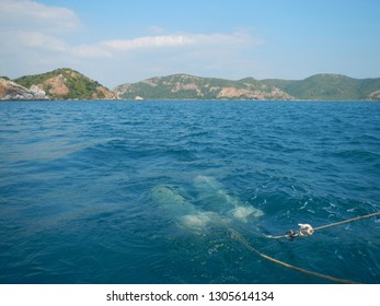 Fish Larvae Sampling By Bongo Net Stock Photo 1305614134 | Shutterstock