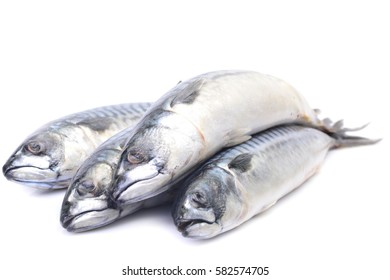 Poisson blanc : 2 423 250 images, photos et images vectorielles de ...