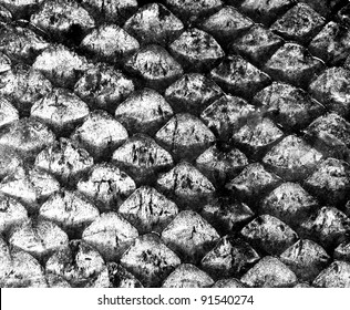 12,280 Scaly texture Images, Stock Photos & Vectors | Shutterstock