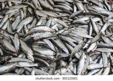 Fish Texture Stock Photo 305125001 | Shutterstock