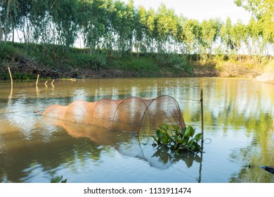 Fish Trap Device Stock Photo 1131911474 | Shutterstock
