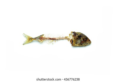 5,297 Bone waste Images, Stock Photos & Vectors | Shutterstock