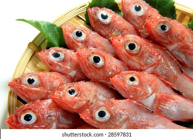 304 Kinki fish Images, Stock Photos & Vectors | Shutterstock