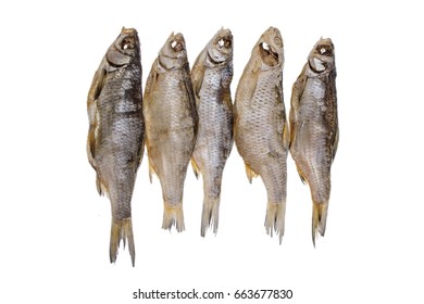 Five Dried Salted Roach Fish On Stock Photo 663677830 | Shutterstock
