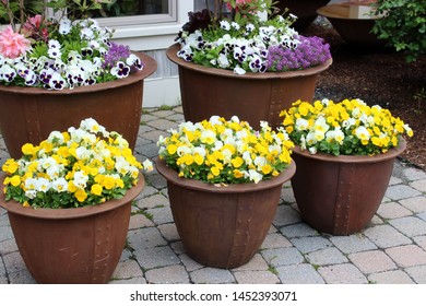 Five Extra Large Clay Pots Filled Stock Photo 1452393071 | Shutterstock
