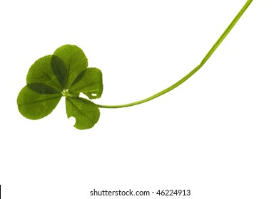 657 5 leaf clover Images, Stock Photos & Vectors | Shutterstock