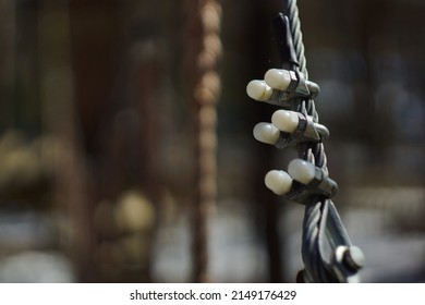 Fixing Cable Tree Stock Photo 2149176429 | Shutterstock