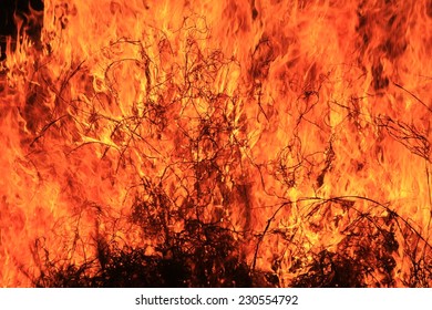 Flame Fire Background Management Tool Destructive Stock Photo 230554792 ...
