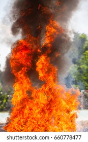 Flame Fire Movement Stock Photo 660778477 | Shutterstock