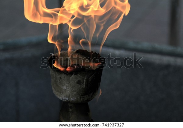Flaming Torch Stock Photo (Edit Now) 741937327