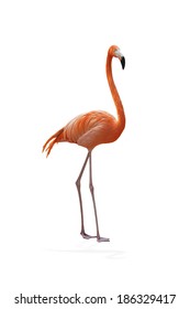 Copper Flamingo Isolated Vector Stock Vector (Royalty Free) 1109262173