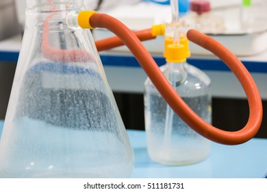 1,108 Laboratory Hose Images, Stock Photos & Vectors | Shutterstock
