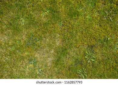 Flat Grass Texture Stock Photo 1162857793 | Shutterstock