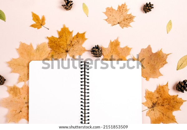 Flat Lay Composition Dry Maple Leaves Stock Photo 2151853509 | Shutterstock