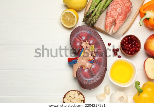 Flat Lay Composition Kidney Model Different Stock Photo 2204217351 ...