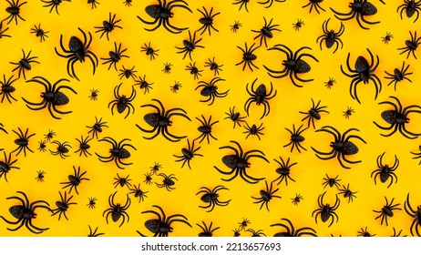 1,312 Spider Size Images, Stock Photos & Vectors | Shutterstock