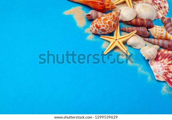 Flat Lay Top View Frame Shells Stock Photo (Edit Now) 1299539629