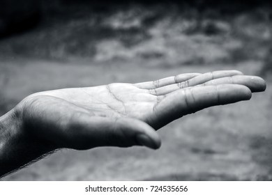 Male Muscular Arm Visible Veins Outdoor Stock Photo (Edit Now) 739417198