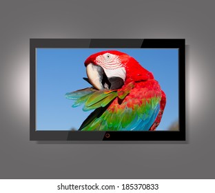 3,829 Flat screen tv drawing Images, Stock Photos & Vectors | Shutterstock