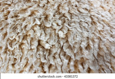 Fleece Texture Stock Photo 43381372 | Shutterstock