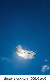70,900 Feathers floating Images, Stock Photos & Vectors | Shutterstock