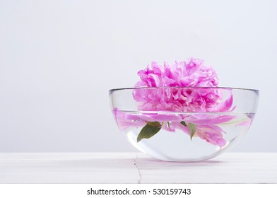 1,198 Beautiful rose floating in bowl of water Images, Stock Photos ...