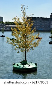 Floating Forest Stock Photo 621778553 | Shutterstock