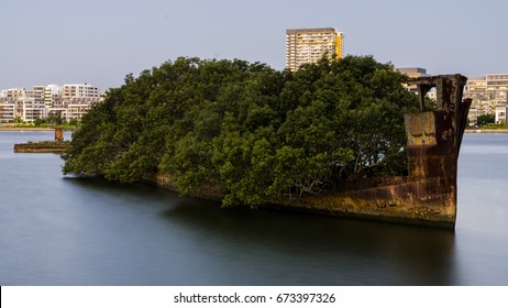 Floating Forest Stock Photo 673397326 | Shutterstock