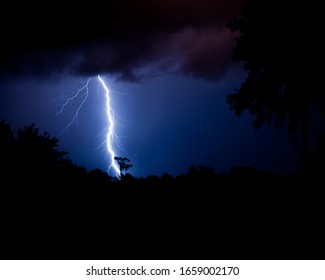 519 Lightning hitting tree Images, Stock Photos & Vectors | Shutterstock