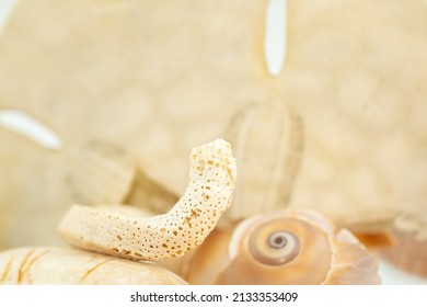 4,610 Worm snail Images, Stock Photos & Vectors | Shutterstock