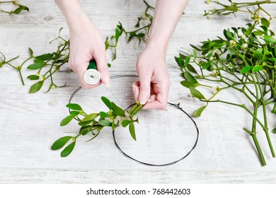 47 Wire leaf mistletoe Images, Stock Photos & Vectors | Shutterstock