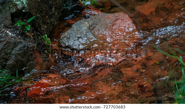Floss Stock Photo 727703683 | Shutterstock