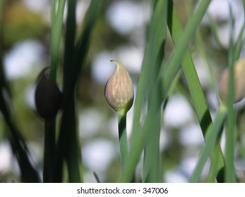 Stock Photo and Image Portfolio by Jonathan Amsden | Shutterstock