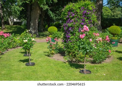 140,064 Complex flower Images, Stock Photos & Vectors | Shutterstock