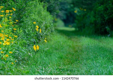 Stock Photo and Image Portfolio by Warren Claflin | Shutterstock