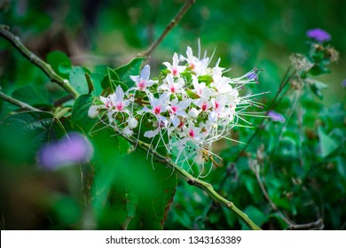 134 Nameri Images, Stock Photos & Vectors | Shutterstock