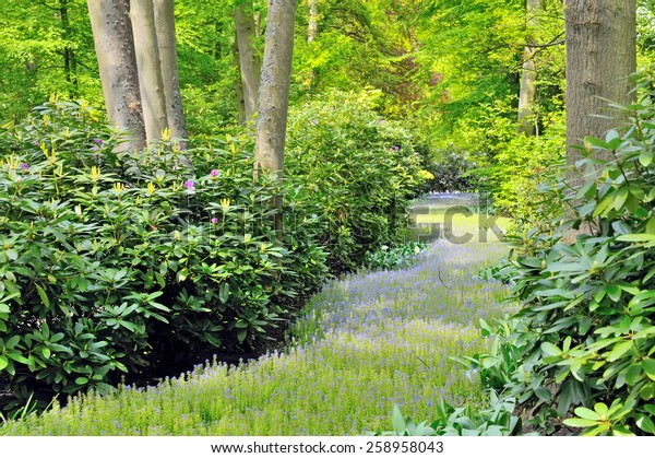 Flowers Path Green Forest Spring Time Stock Photo 258958043 | Shutterstock