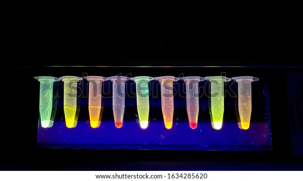 Fluorescent Dye Solution Small Tubes Visualize Stock Photo 1634285620 ...